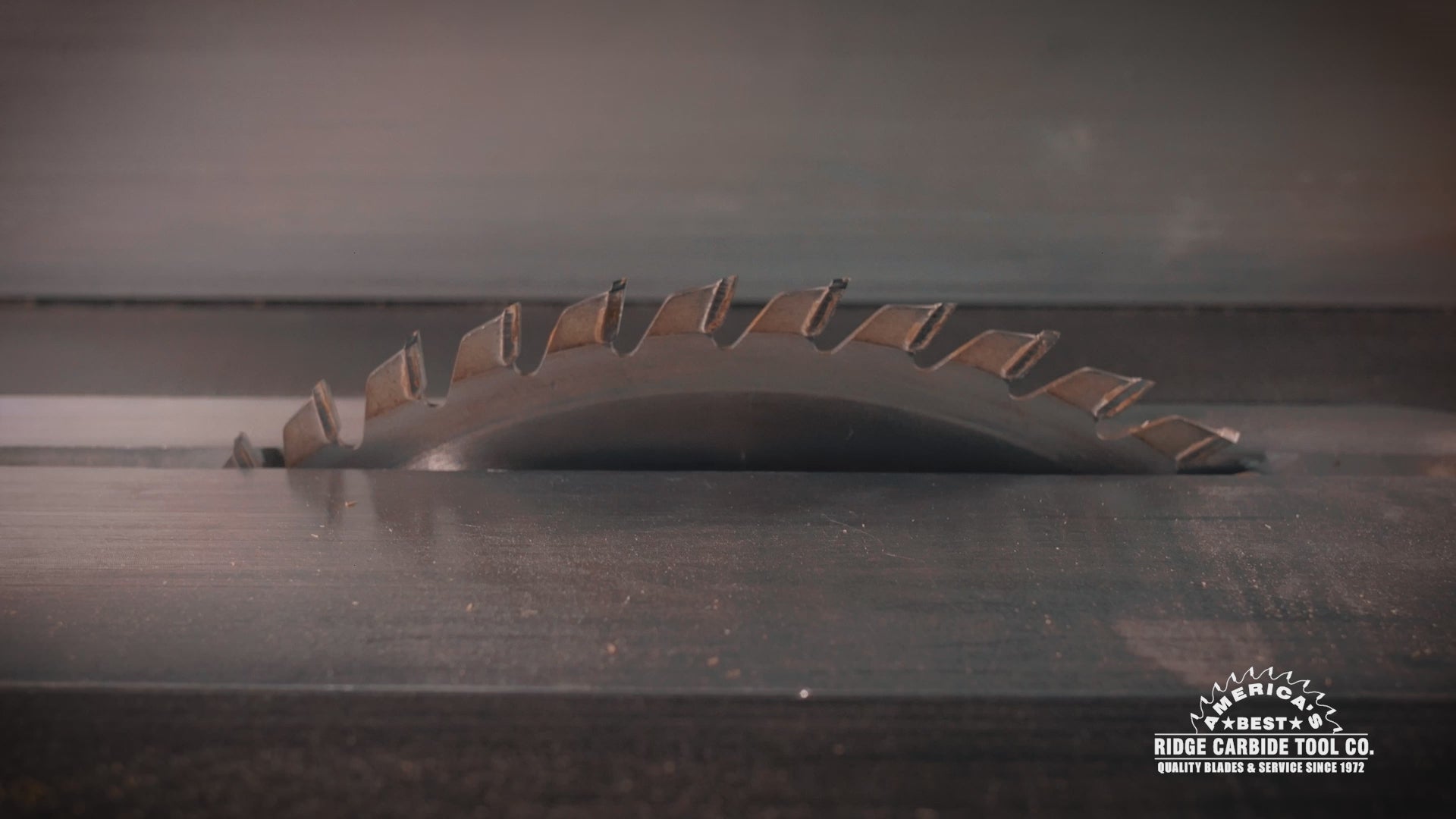 Ridge Carbide Tool: Professional Saw Blades, Router Bits and Dado Sets